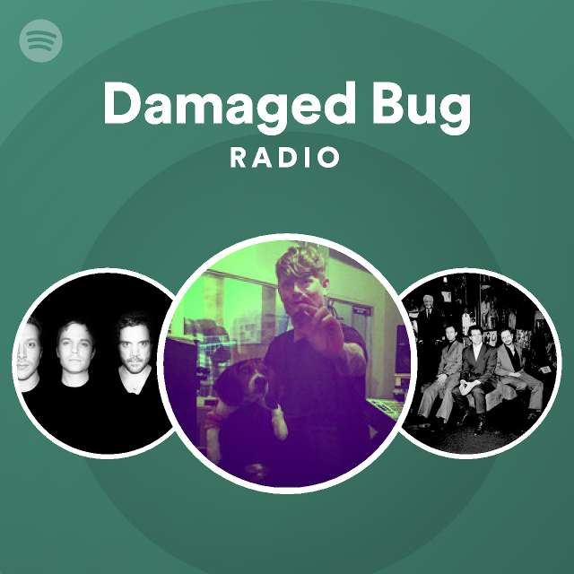 Damaged Bug | Spotify