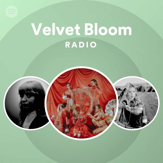 Velvet Bloom | Spotify