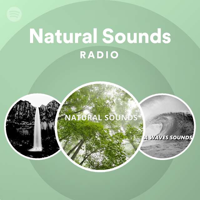 Natural Sounds Radio - playlist by Spotify | Spotify