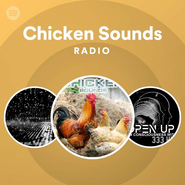 Chicken Sounds Radio - playlist by Spotify | Spotify