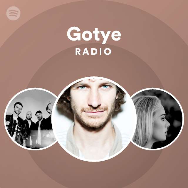 Gotye | Spotify