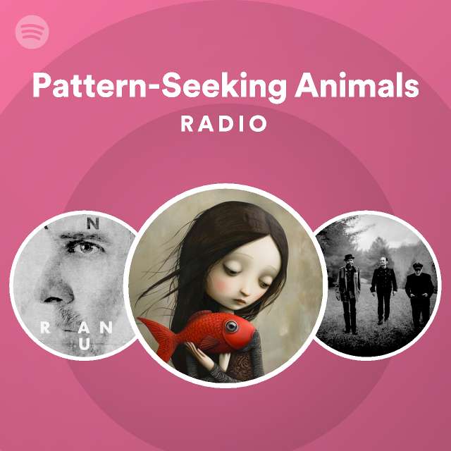 Pattern-Seeking Animals | Spotify