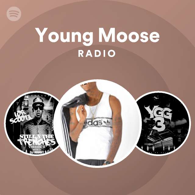 Young Moose | Spotify