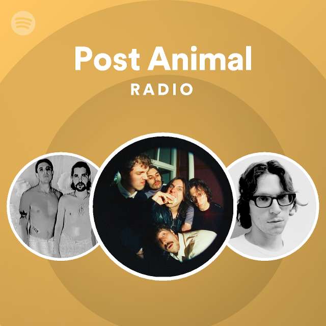 Post Animal | Spotify