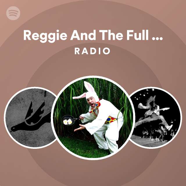 Reggie And The Full Effect | Spotify