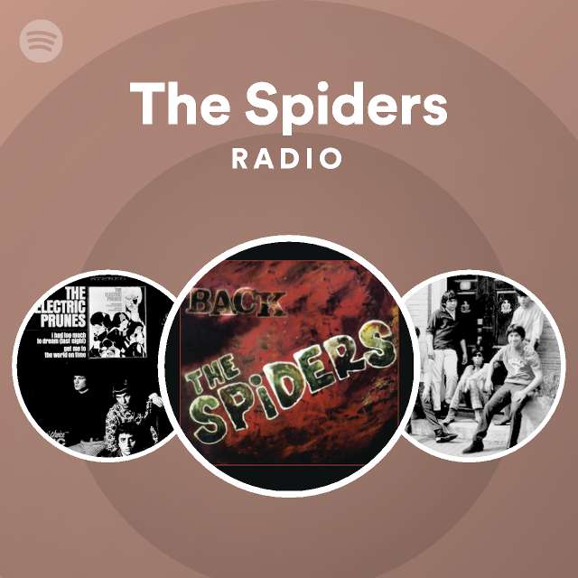 The Spiders | Spotify