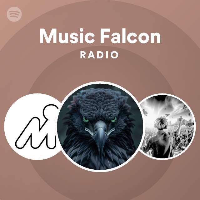 Music Falcon | Spotify - Listen Free