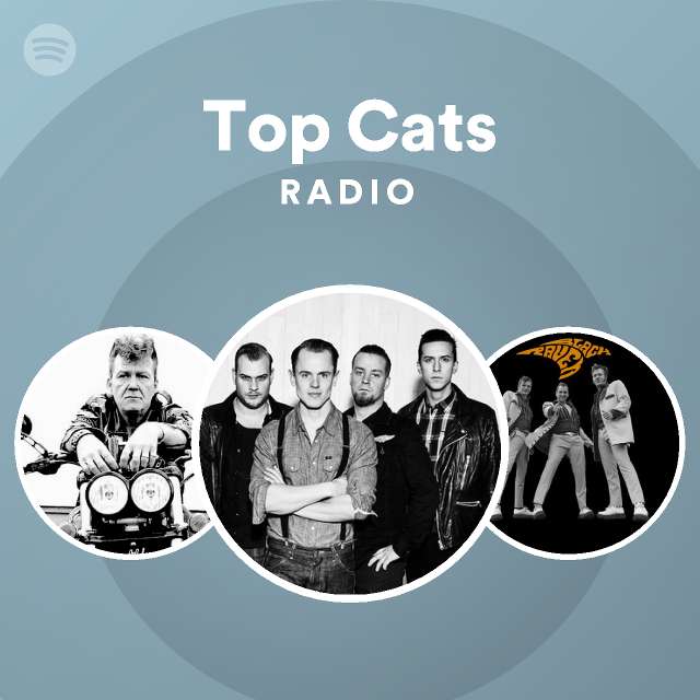 Top Cats | Spotify