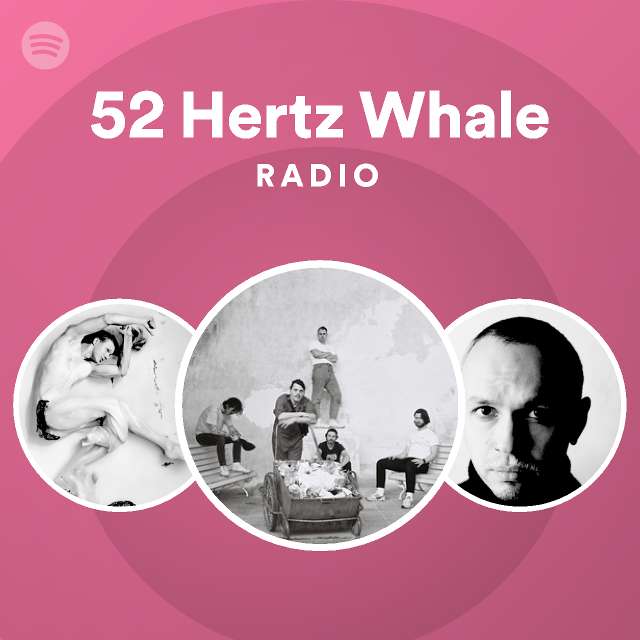 52 Hertz Whale | Spotify