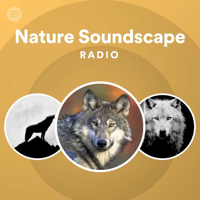 Nature Soundscape Radio | Spotify Playlist