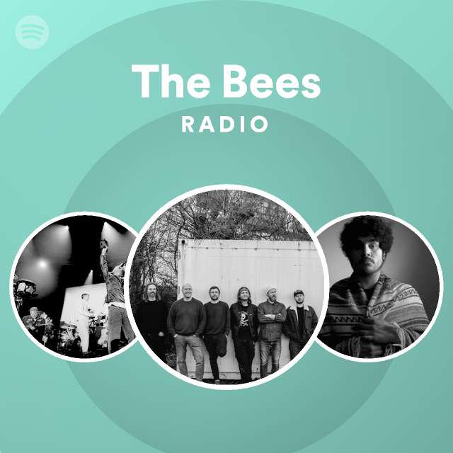 The Bees | Spotify