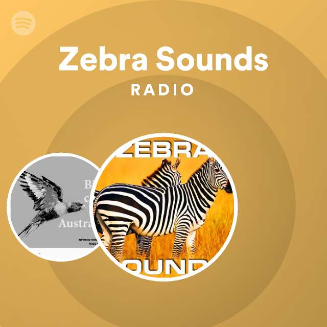 Zebra Sounds Radio | Spotify Playlist