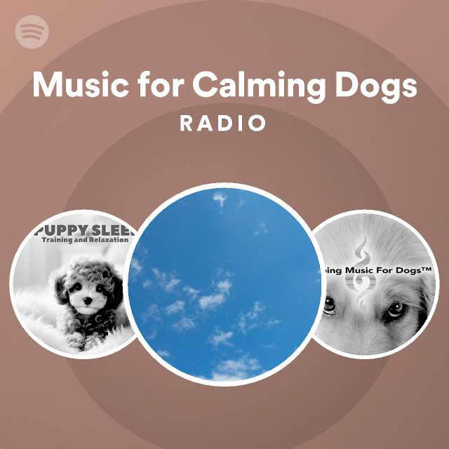 Music for Calming Dogs Radio - playlist by Spotify | Spotify