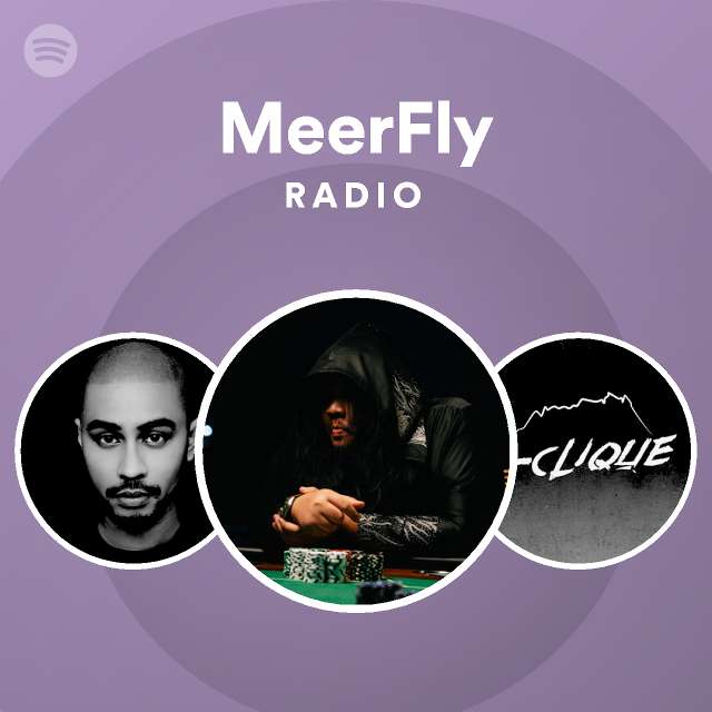MeerFly | Spotify