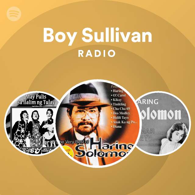 Boy Sullivan Radio - playlist by Spotify | Spotify