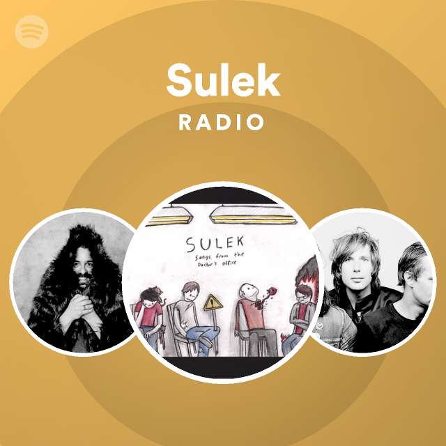 Sulek Radio - playlist by Spotify | Spotify