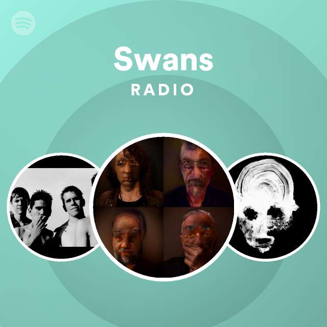 Swans | Spotify