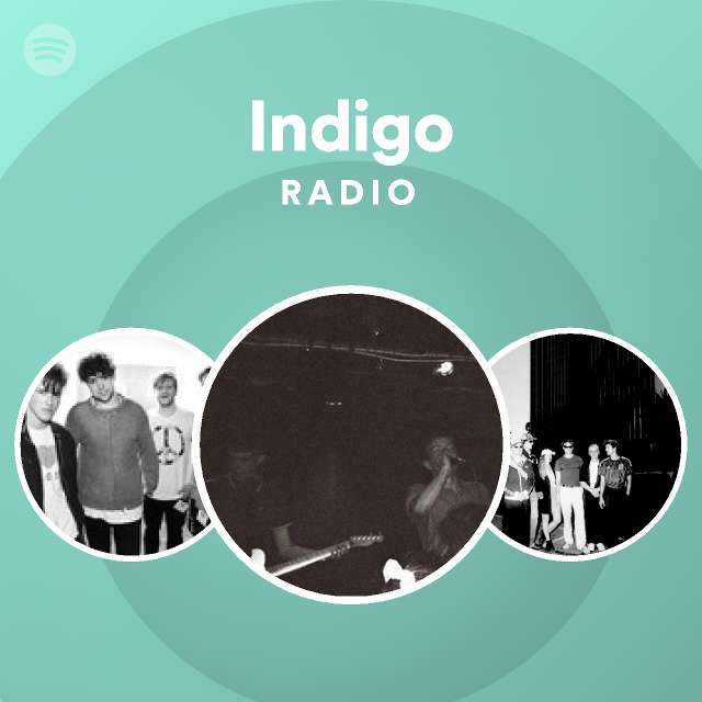 Indigo | Spotify