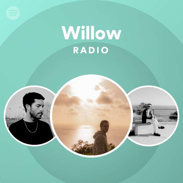 Willow Radio - playlist by Spotify | Spotify