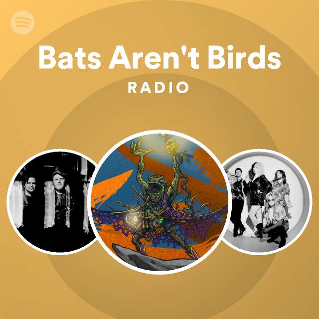 Bats Aren't Birds Radio - playlist by Spotify | Spotify