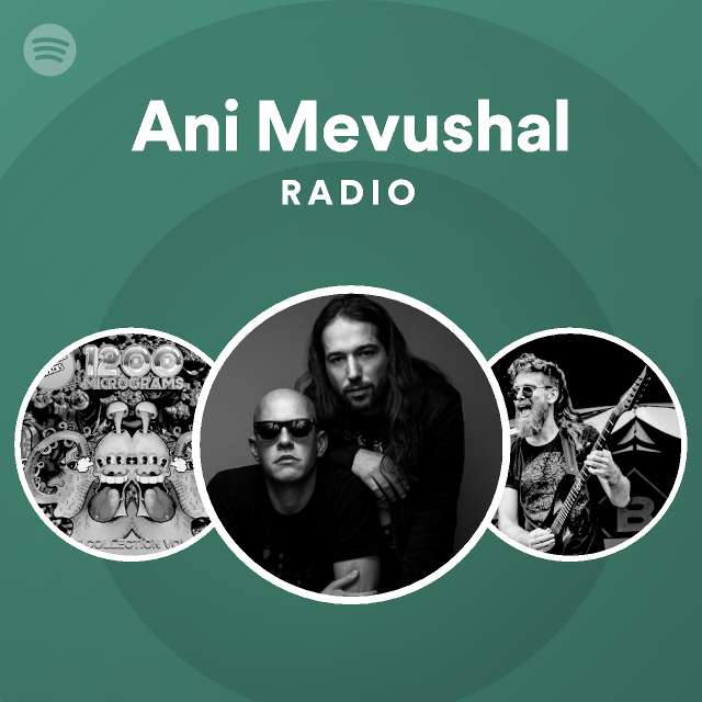 Ani Mevushal Radio - playlist by Spotify | Spotify