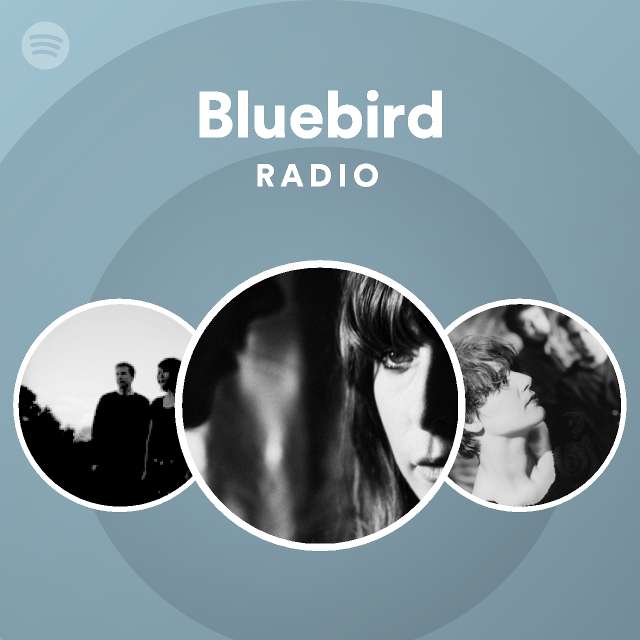 Bluebird Radio - playlist by Spotify | Spotify