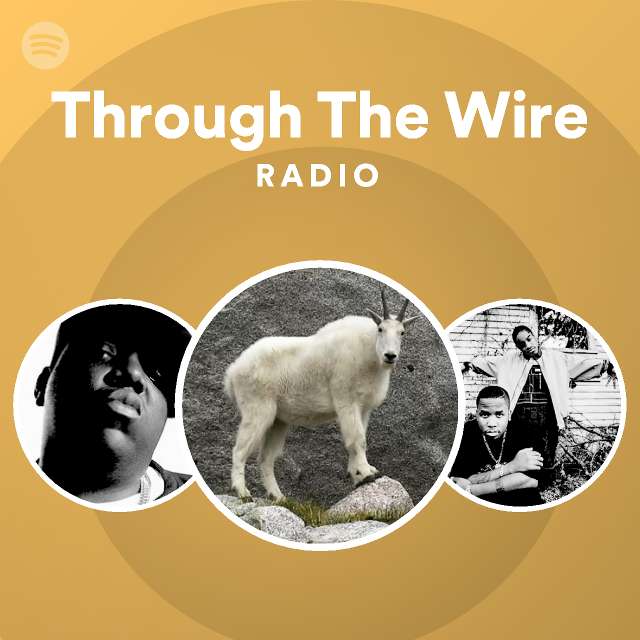 Through The Wire Radio - playlist by Spotify | Spotify