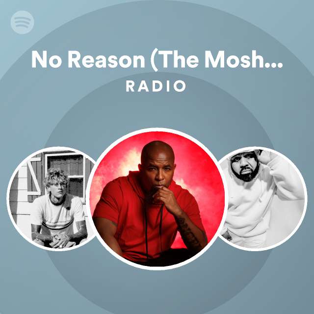 No Reason (The Mosh Pit Song) Radio - playlist by Spotify | Spotify