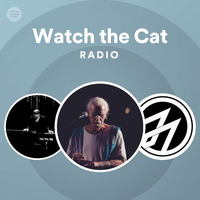 Watch the Cat Radio - playlist by Spotify | Spotify