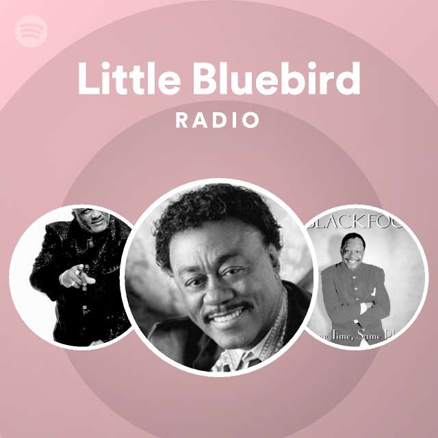 Little Bluebird Radio - playlist by Spotify | Spotify