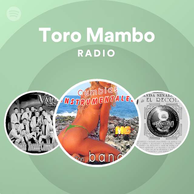 Toro Mambo Radio - playlist by Spotify | Spotify