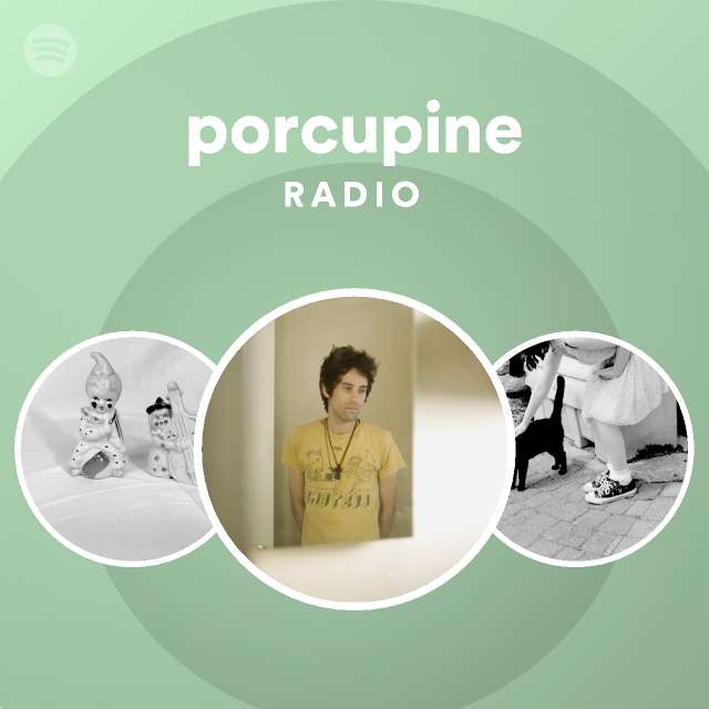 porcupine Radio - playlist by Spotify | Spotify