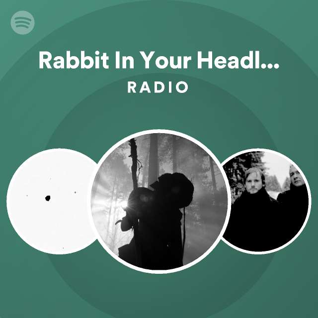 Rabbit In Your Headlights Radio - playlist by Spotify | Spotify