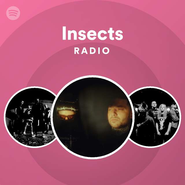 Insects Radio | Spotify Playlist