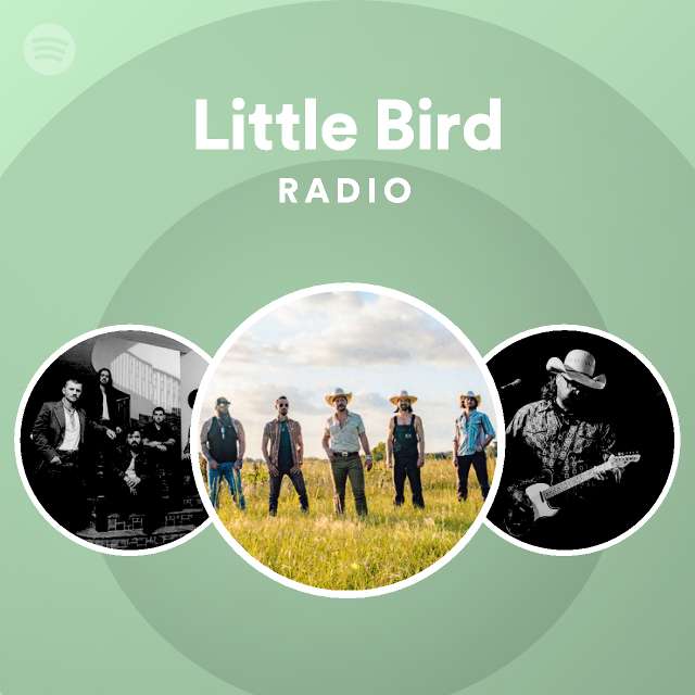 Little Bird Radio - playlist by Spotify | Spotify