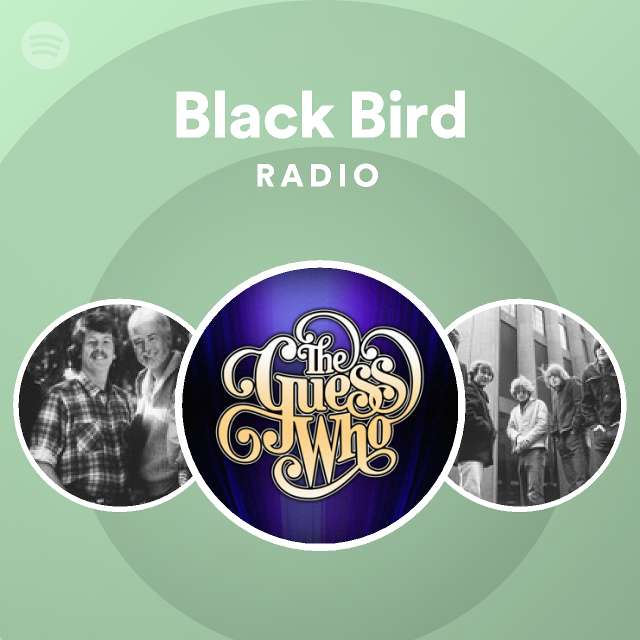 Black Bird Radio - playlist by Spotify | Spotify