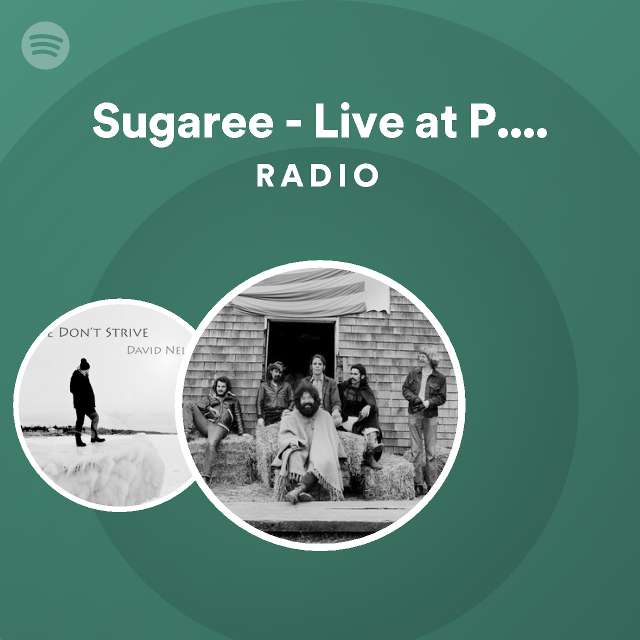Sugaree - Live at P.N.E. Coliseum, Vancouver, B.C. 5/17/74 Radio - playlist by Spotify | Spotify