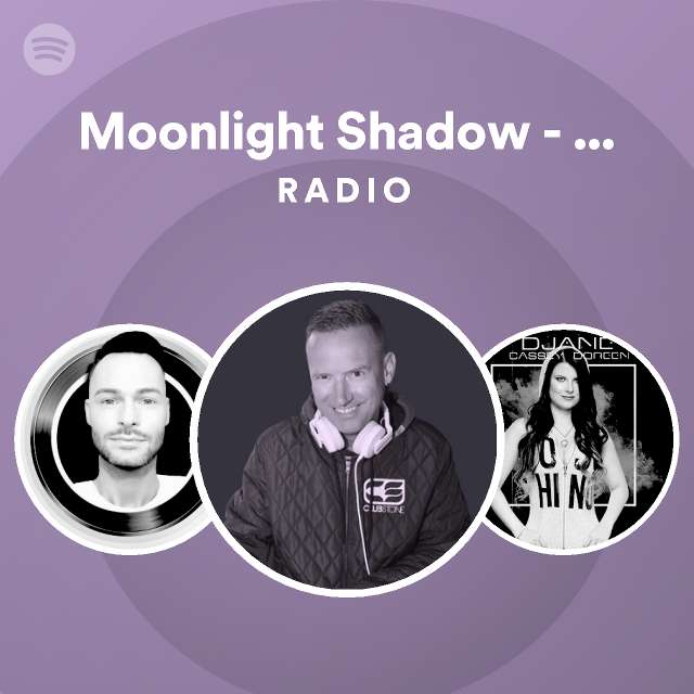 Moonlight Shadow - Peter Brandenburg Remix Radio Mix Radio | Spotify Playlist