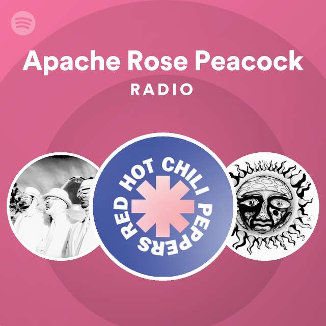 Apache Rose Peacock Radio - playlist by Spotify | Spotify