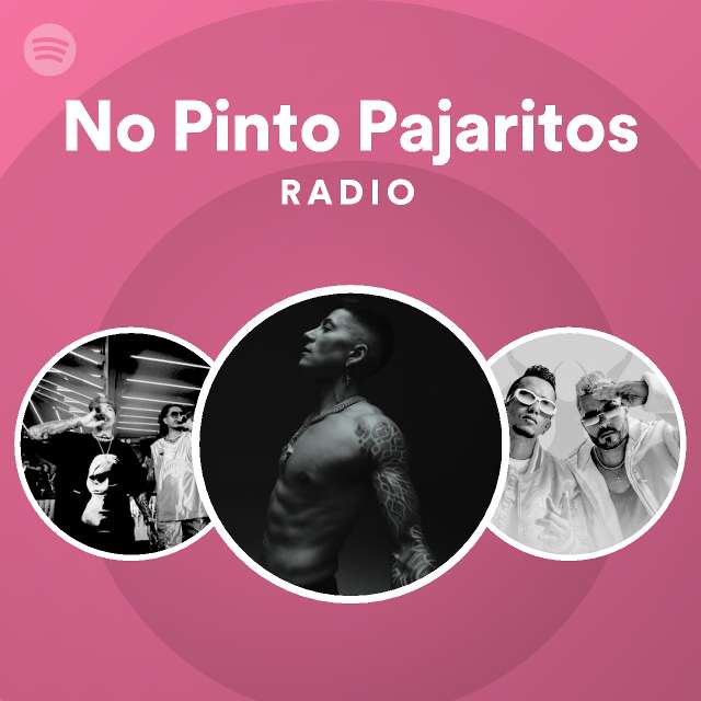 No Pinto Pajaritos Radio - playlist by Spotify | Spotify