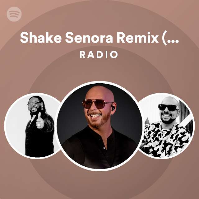 Shake Senora Remix (feat. T-Pain, Sean Paul & Ludacris) Radio ...