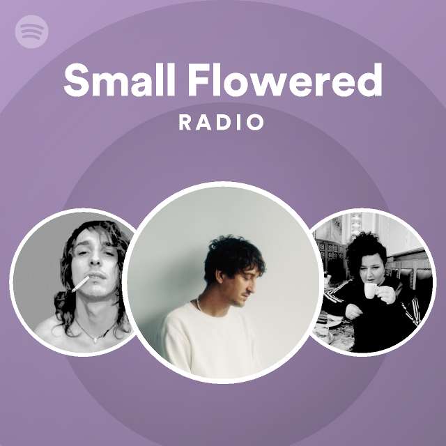 Small Flowered Radio - playlist by Spotify | Spotify