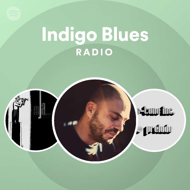 Indigo Blues Radio - playlist by Spotify | Spotify