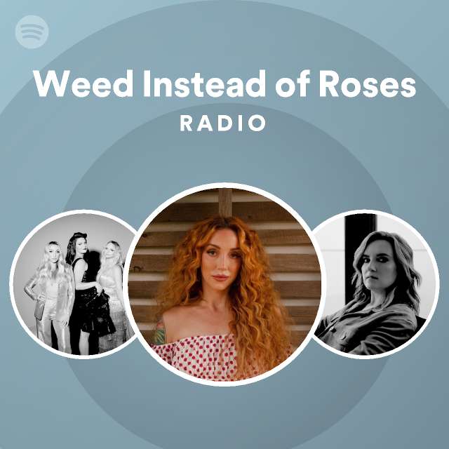 Weed Instead of Roses Radio - playlist by Spotify | Spotify