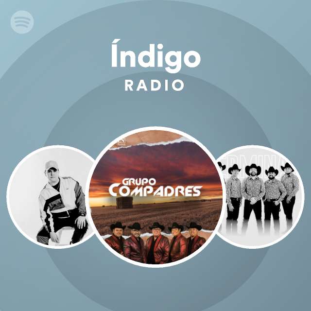 Índigo Radio - playlist by Spotify | Spotify