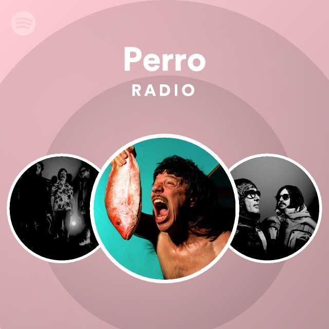 Perro Radio - playlist by Spotify | Spotify