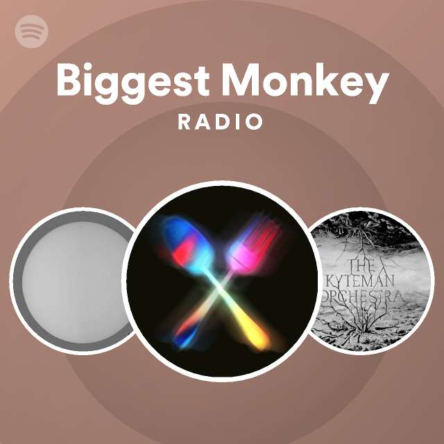 Biggest Monkey Radio - playlist by Spotify | Spotify