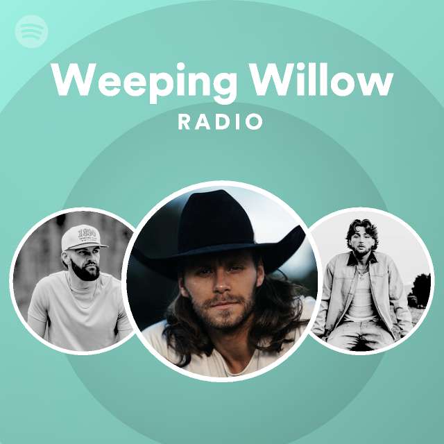Weeping Willow Radio - playlist by Spotify | Spotify