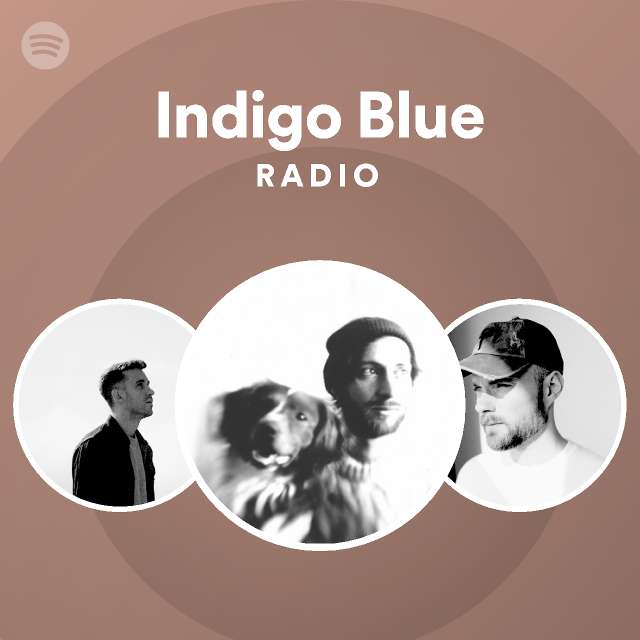 Indigo Blue Radio - playlist by Spotify | Spotify