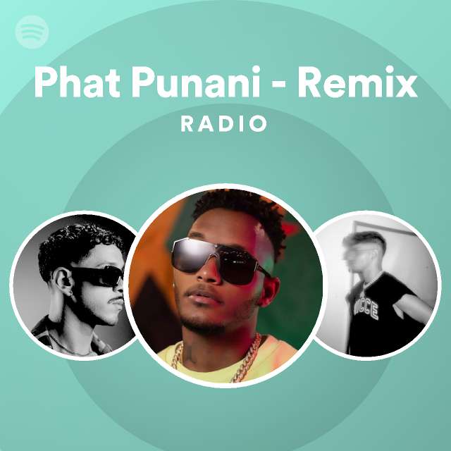 Phat Punani - Remix Radio - playlist by Spotify | Spotify